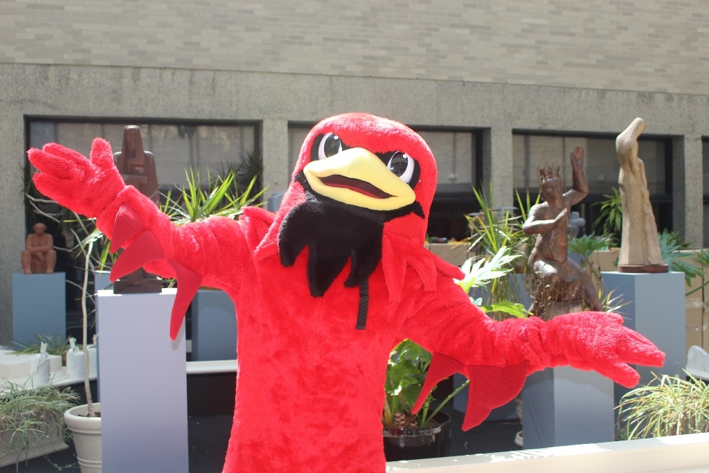 Burghy Soars to Victory? SUNY Plattsburgh's Mascot Takes Flight in ...