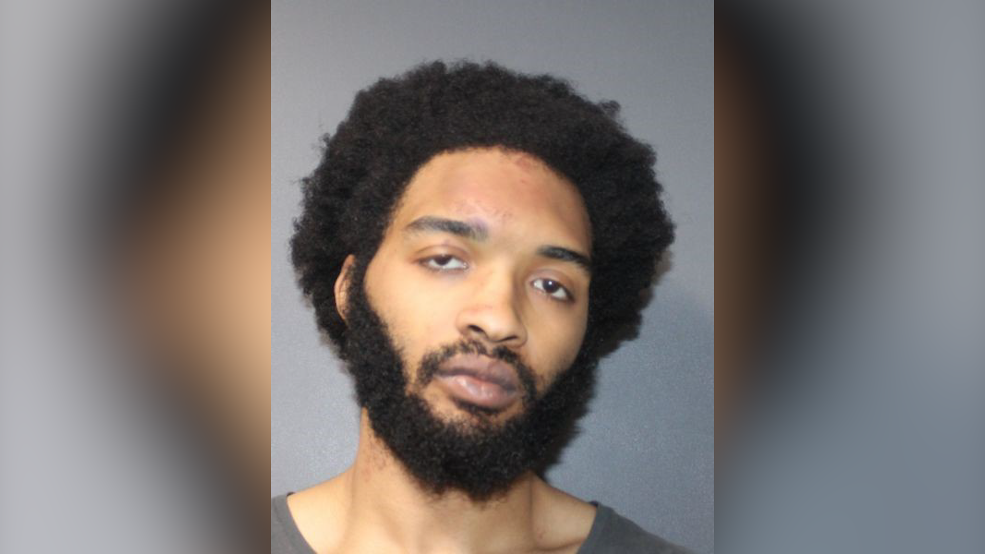 Buffalo Man Indicted for Fatal Stabbing of 17-Year-Old Sister – WNY ...