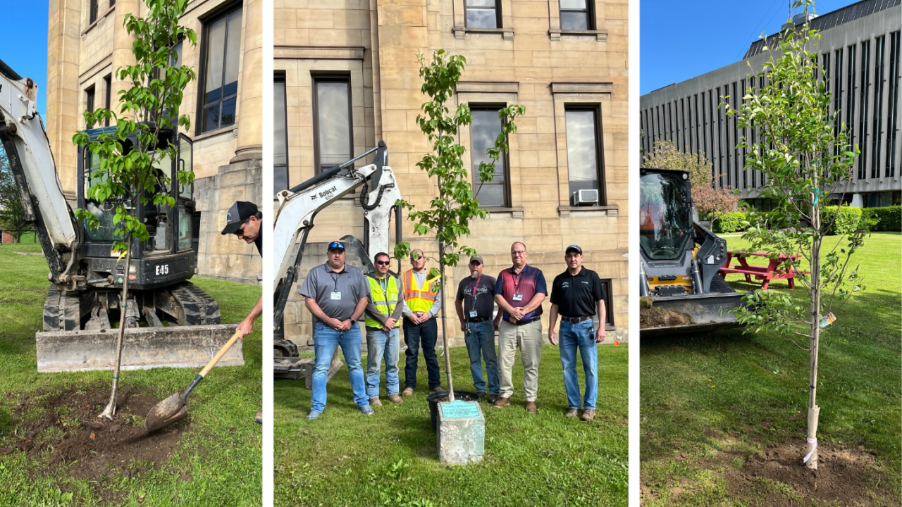 Rooted in Renewal: Chautauqua County Revives Courthouse Landscape with ...